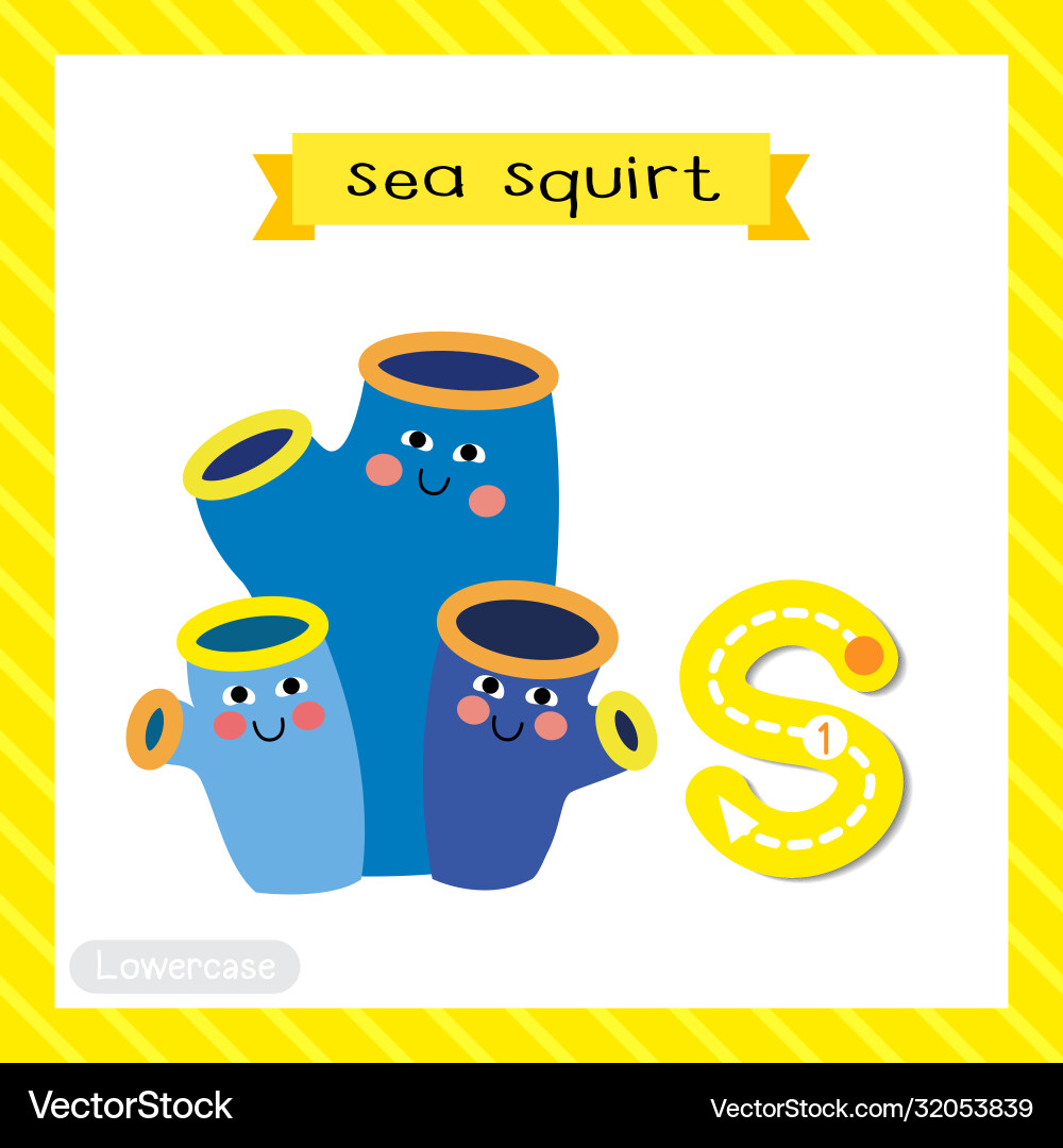 Letter s lowercase tracing sea squirt Royalty Free Vector