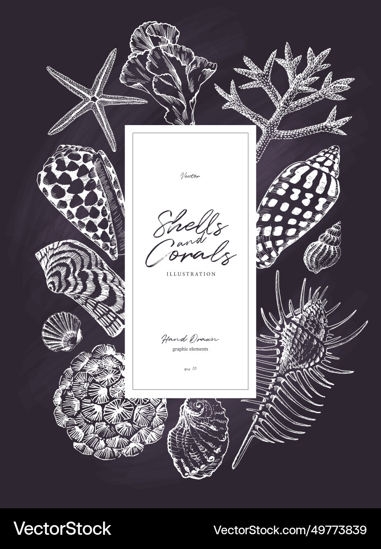 Seashells drawings black vertical banner Vector Image