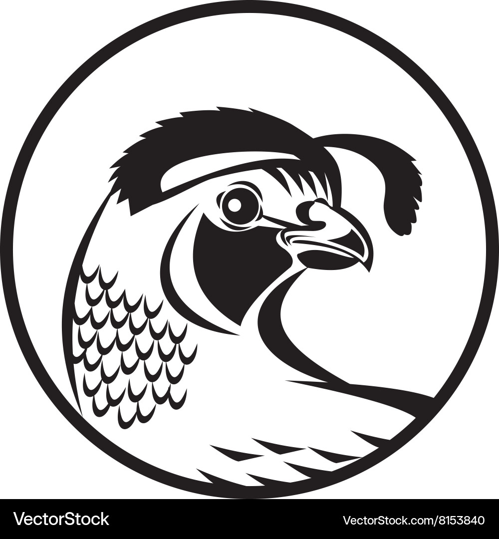 California valley quail circle black and white Vector Image