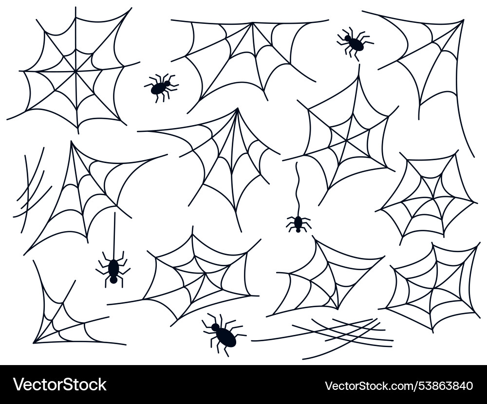 Spider web hand drawn set Royalty Free Vector Image