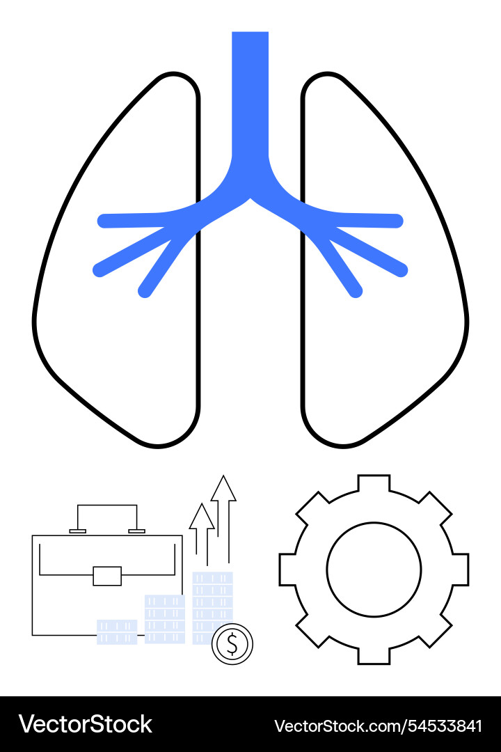 Human lung anatomy with business growth graph Vector Image