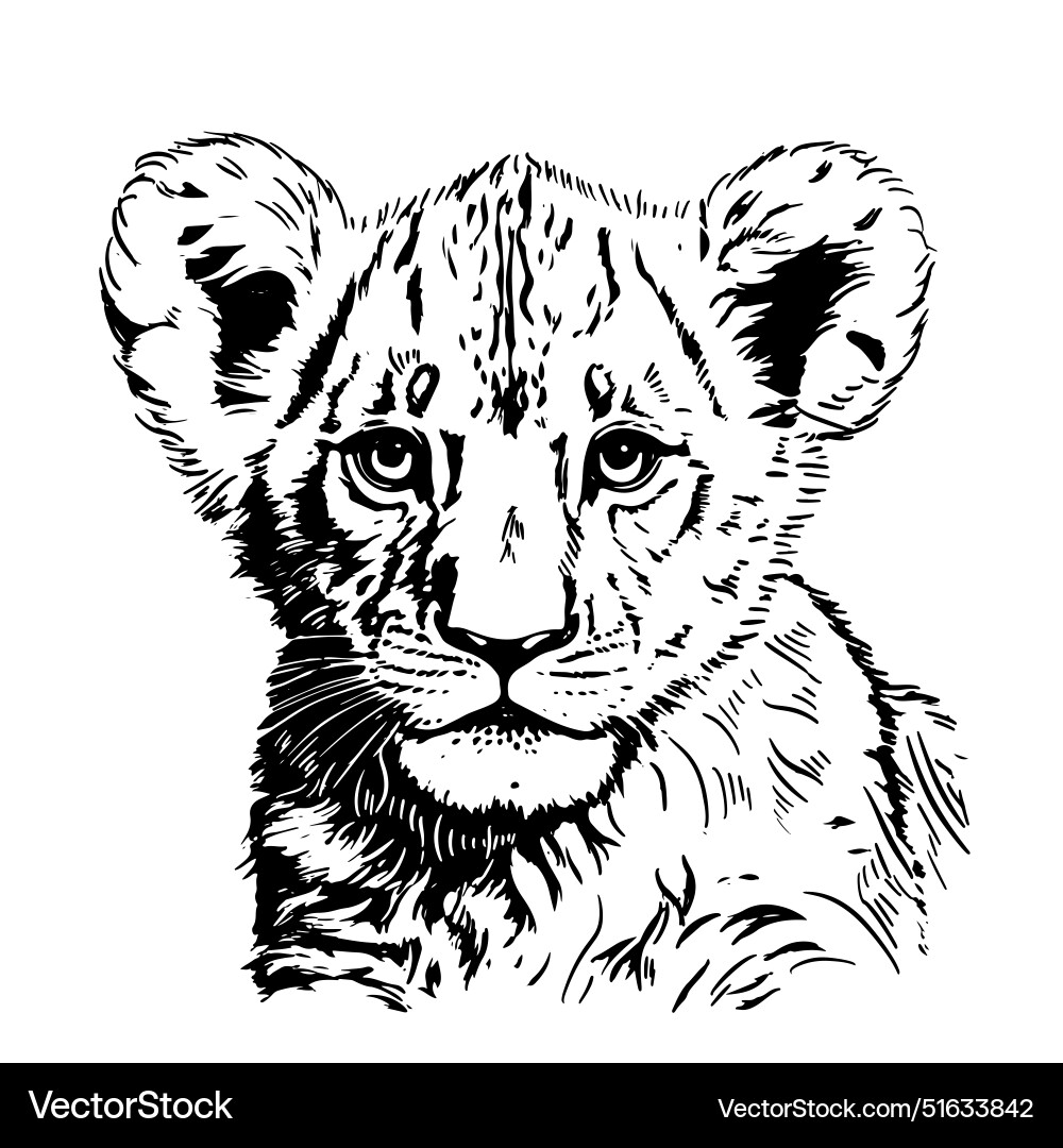 Little lion cub portrait Royalty Free Vector Image