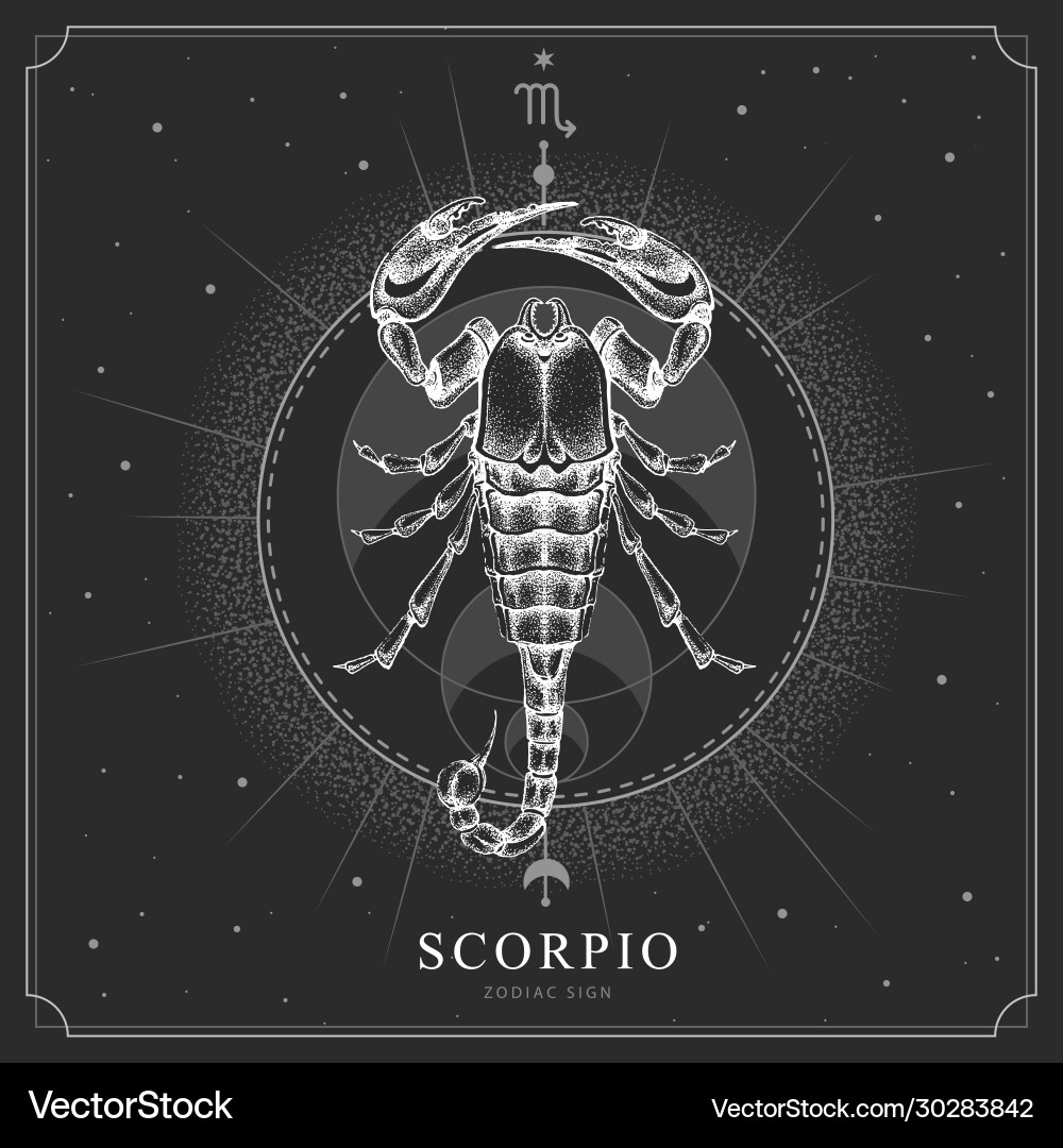 Magic witchcraft card with scorpio zodiac sign Vector Image