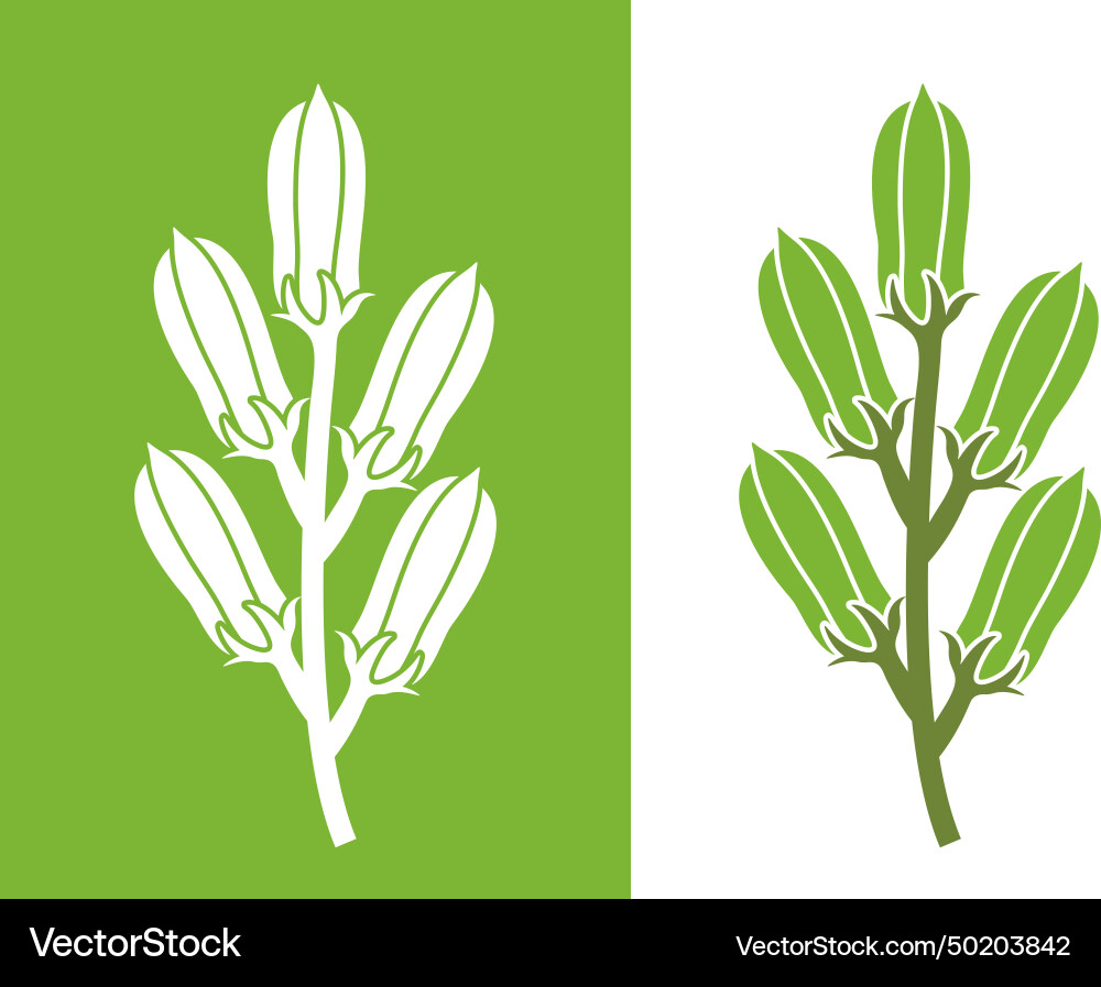 Sesame Royalty Free Vector Image - VectorStock