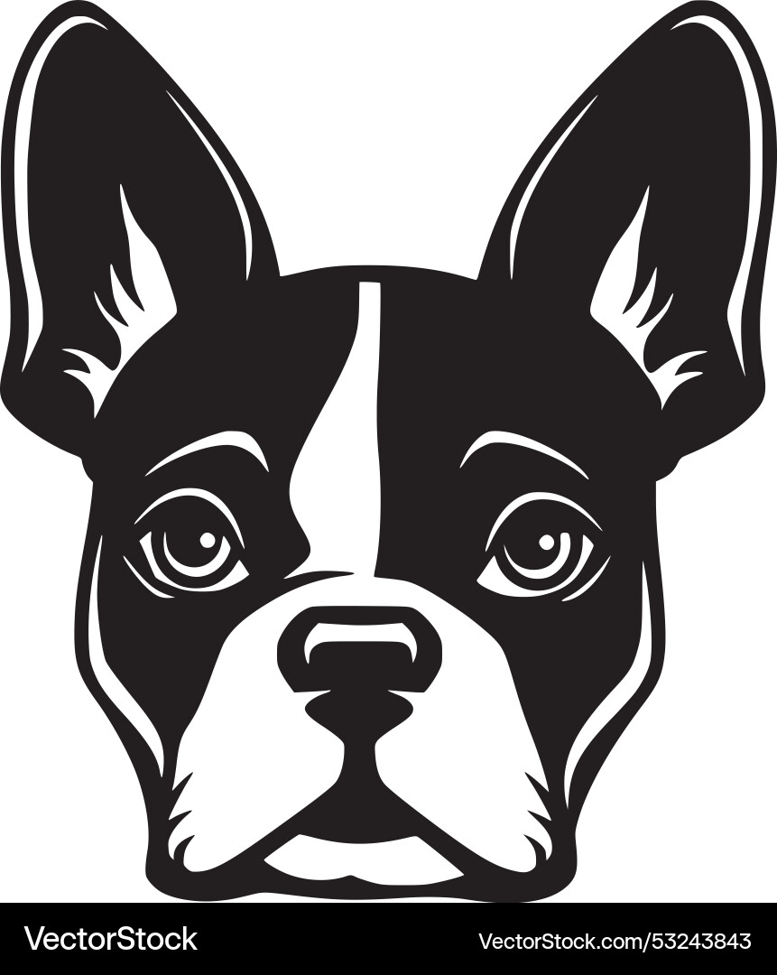 Boston terrier - high quality logo ideal Vector Image