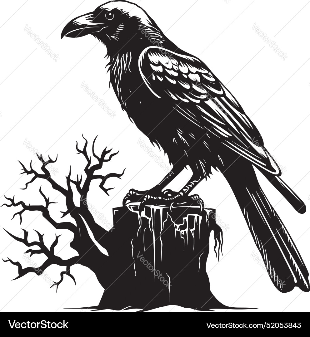 Dark raven emblem skull graphic enigmatic Vector Image