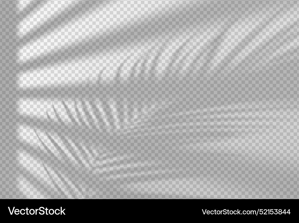Light effect shadow overlay from blind with palm Vector Image