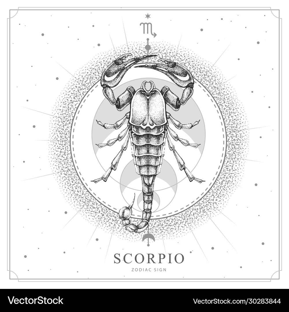 Magic witchcraft card with scorpio zodiac sign Vector Image