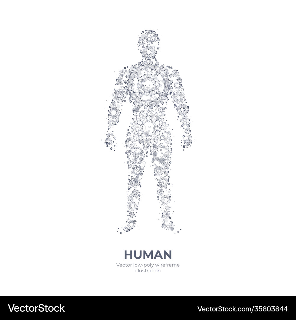 Polygonal hand drawing human body Royalty Free Vector Image