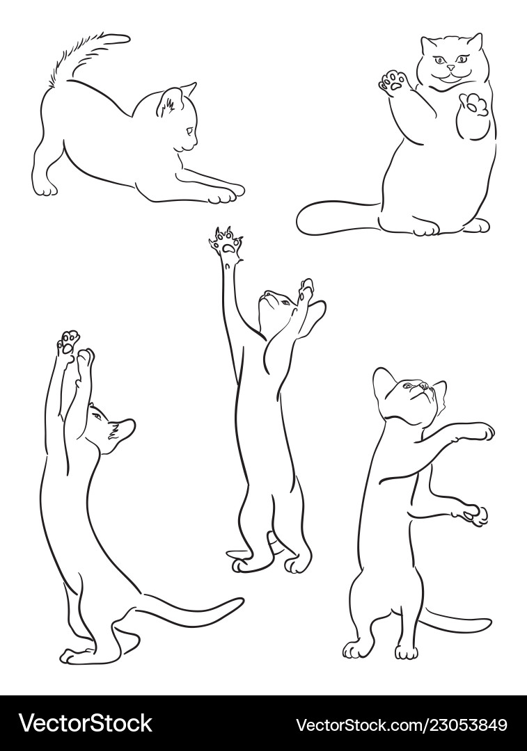 Cute Cat Line Art - Coloring Page Royalty Free Vector Image