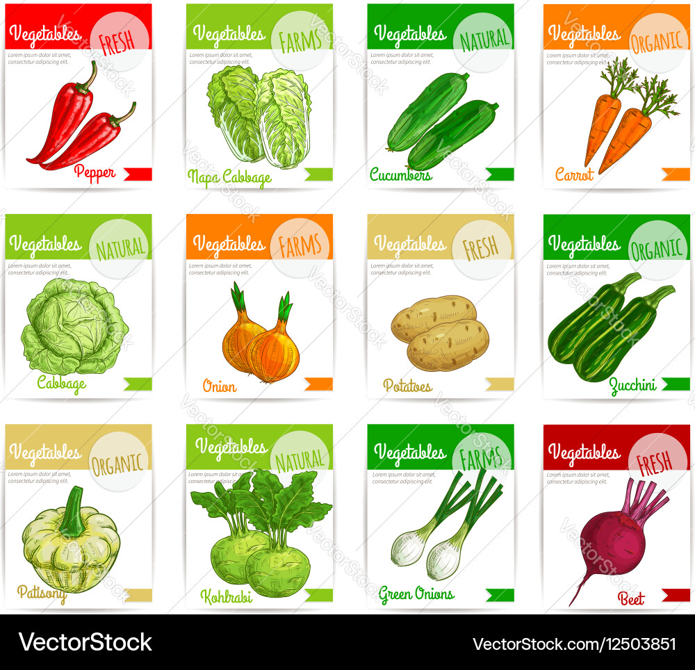 Fresh vegetable label banner and tag set design Vector Image