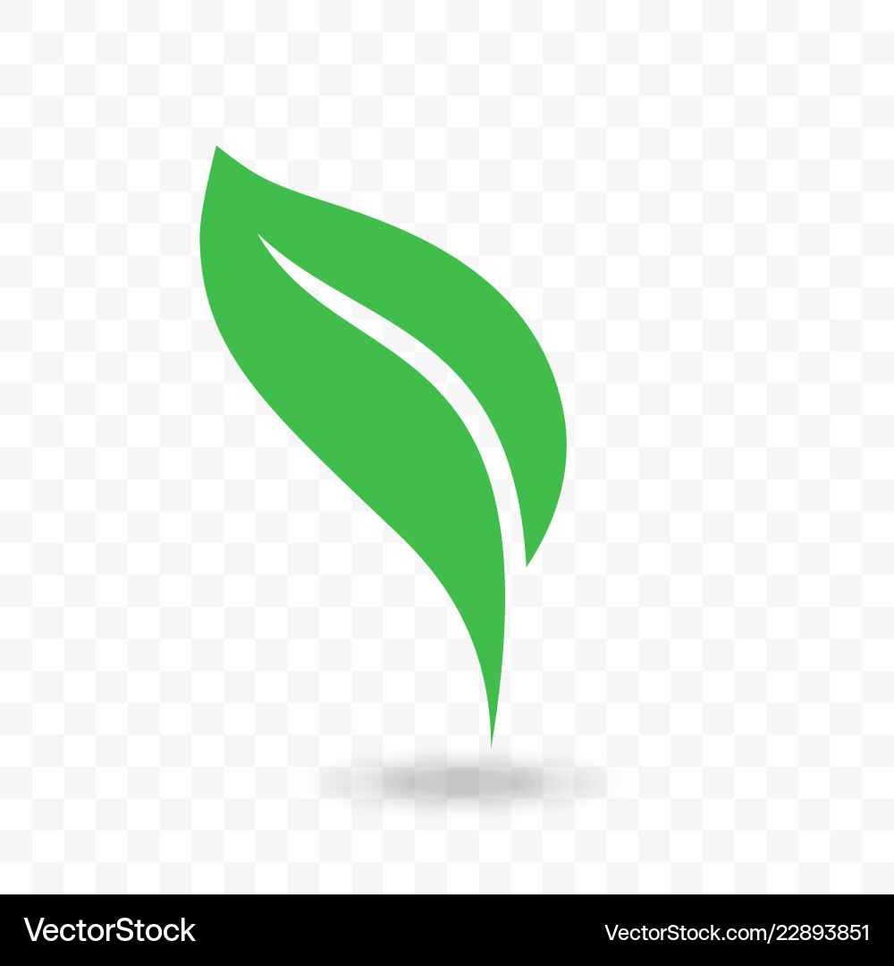 Green leaf vegan bio or eco icon Royalty Free Vector Image
