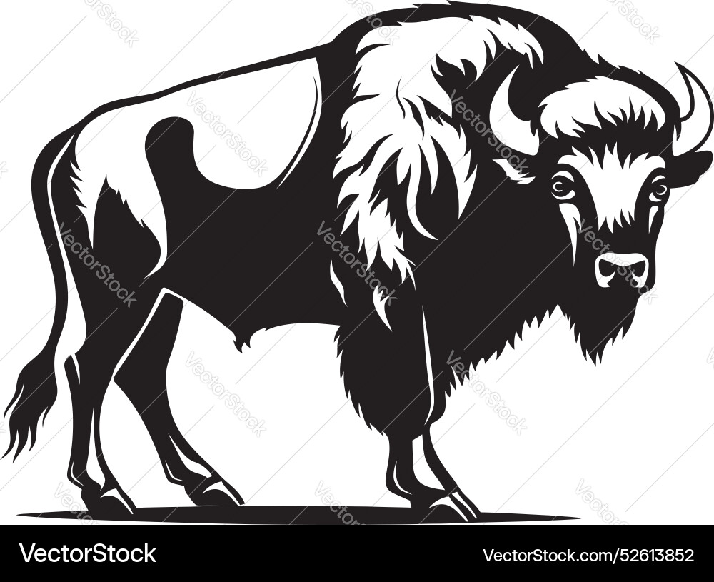 Strength and majesty black bison logo Royalty Free Vector