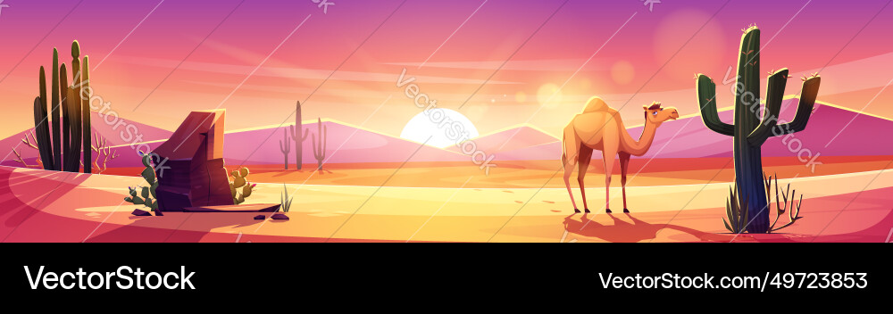 Arizona desert landscape with cactus on sunset Vector Image