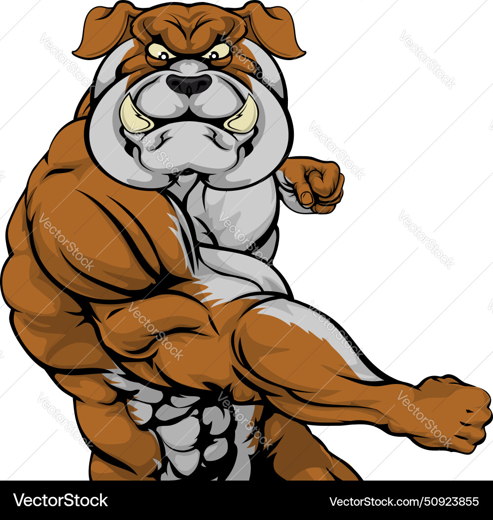Bulldog attacking Royalty Free Vector Image - VectorStock