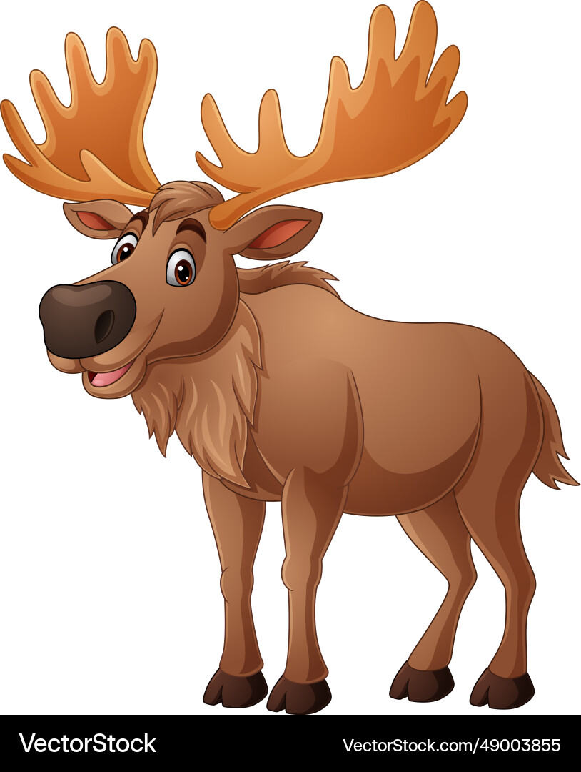 Cartoon moose on white background Royalty Free Vector Image