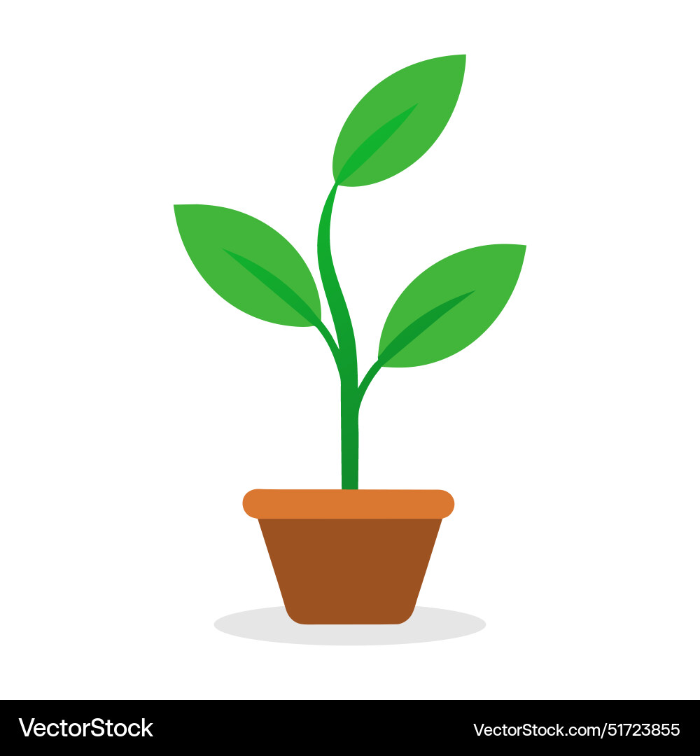 Small tree on tob flat white background Royalty Free Vector