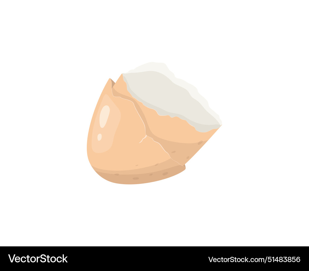 Brocken egg shell in cartoon style isolated Vector Image
