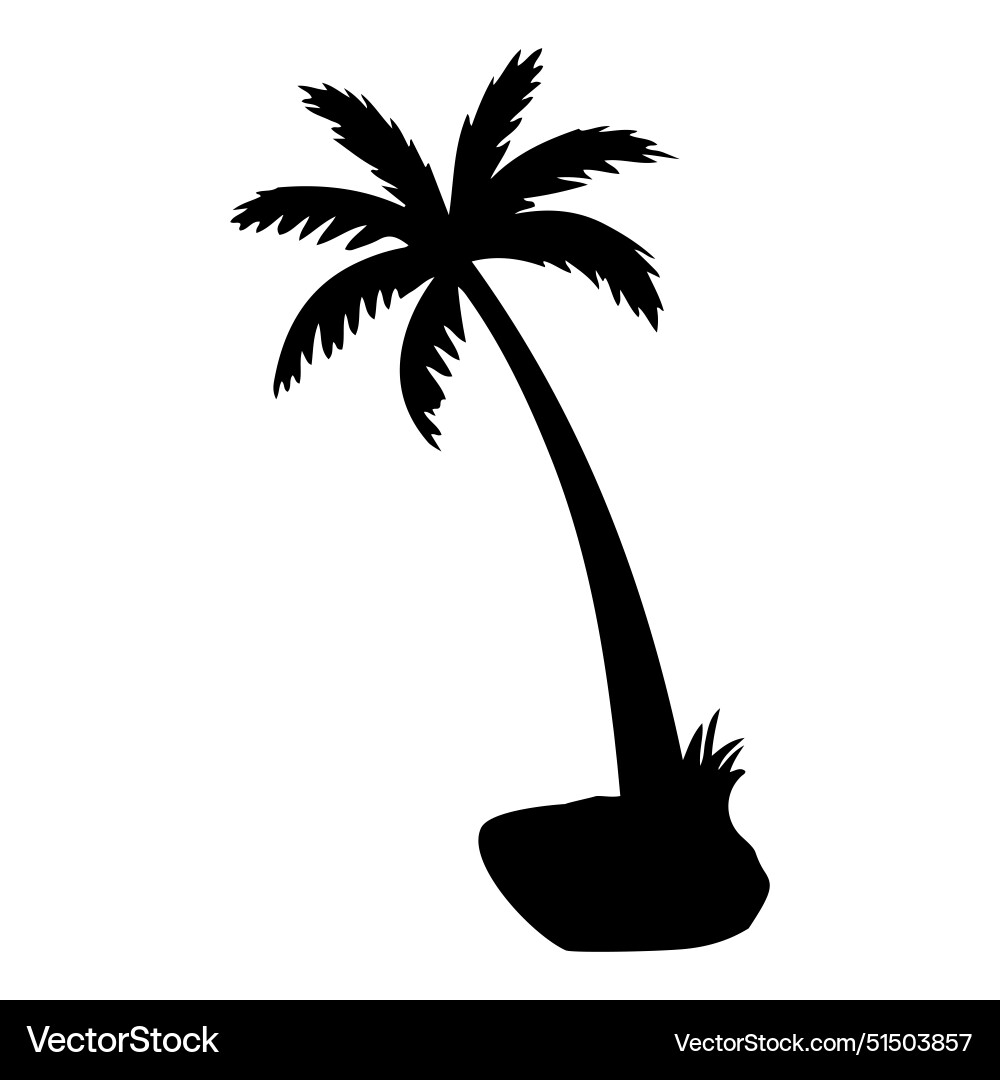Black palm tree on white background Royalty Free Vector