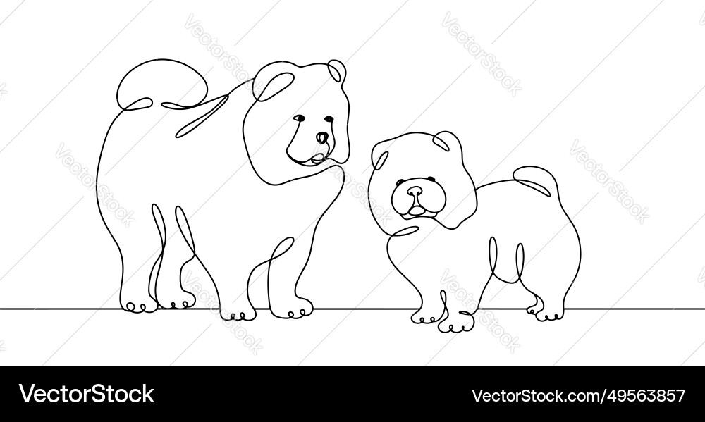 Chow Chow Line Art Royalty Free Vector Image - VectorStock