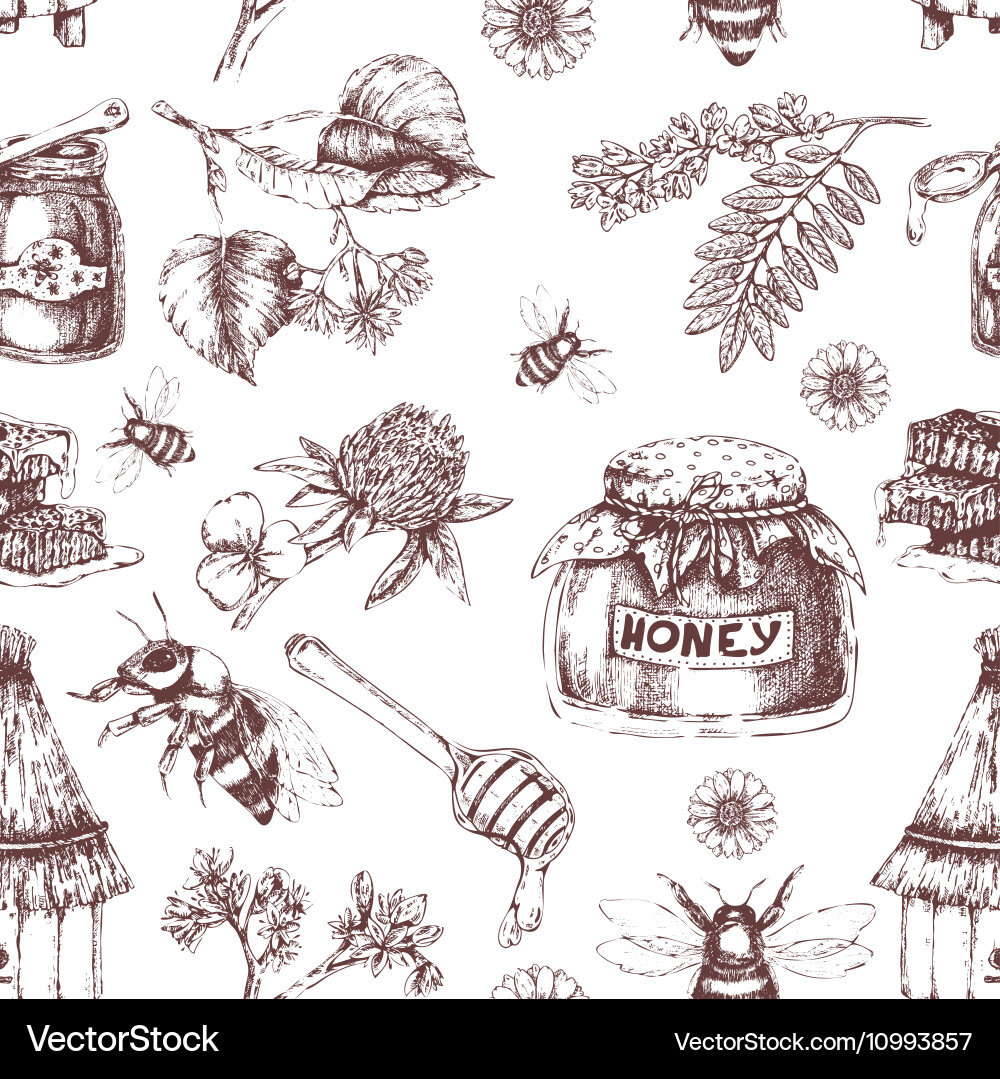 Honey hand drawn seamless pattern Royalty Free Vector Image