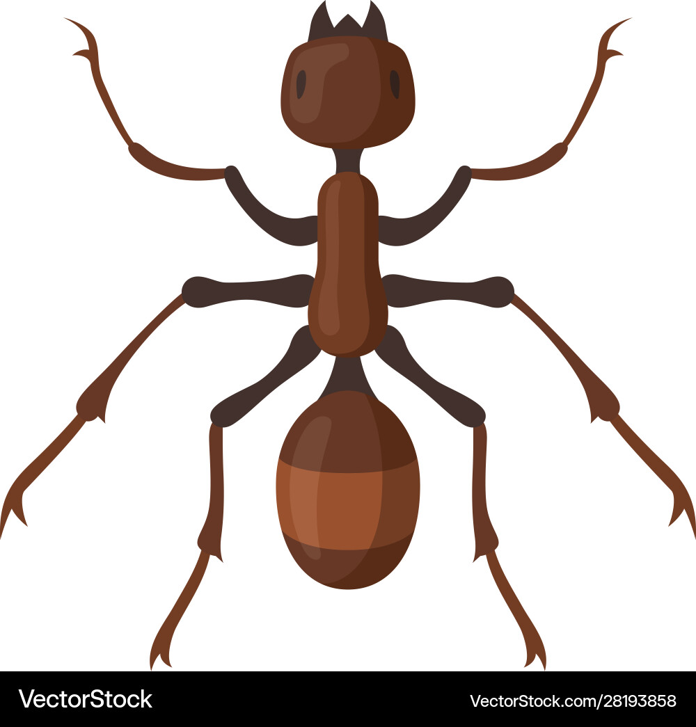 Ant icon brown insect wildlife small bug Vector Image