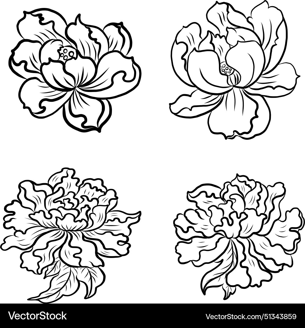 Beautiful line art for summer Royalty Free Vector Image