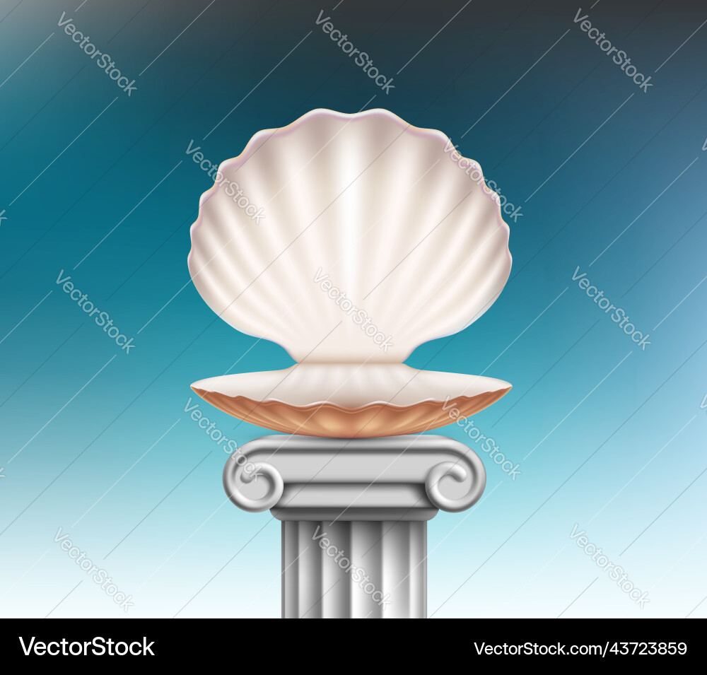 Open Seashell Vector Pearl Seashell. Open Vector & Photo (Free Trial)