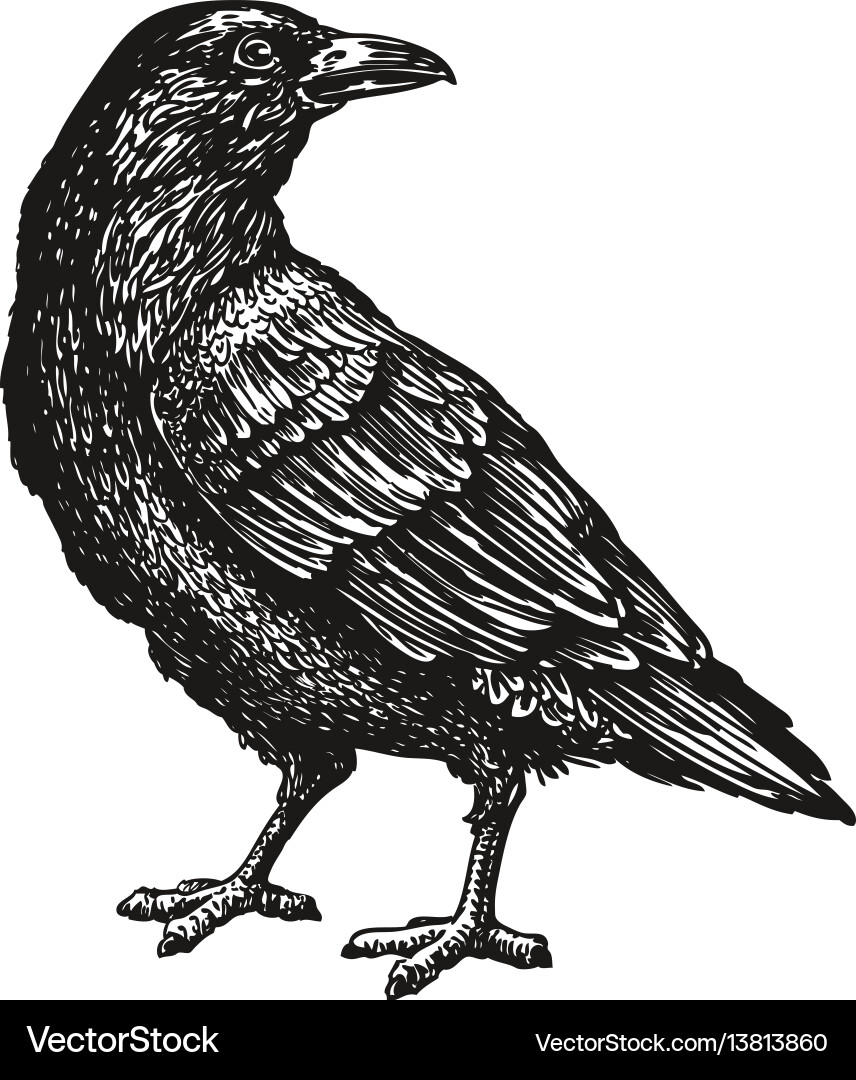 Black and White Caw Vector Images (over 330)