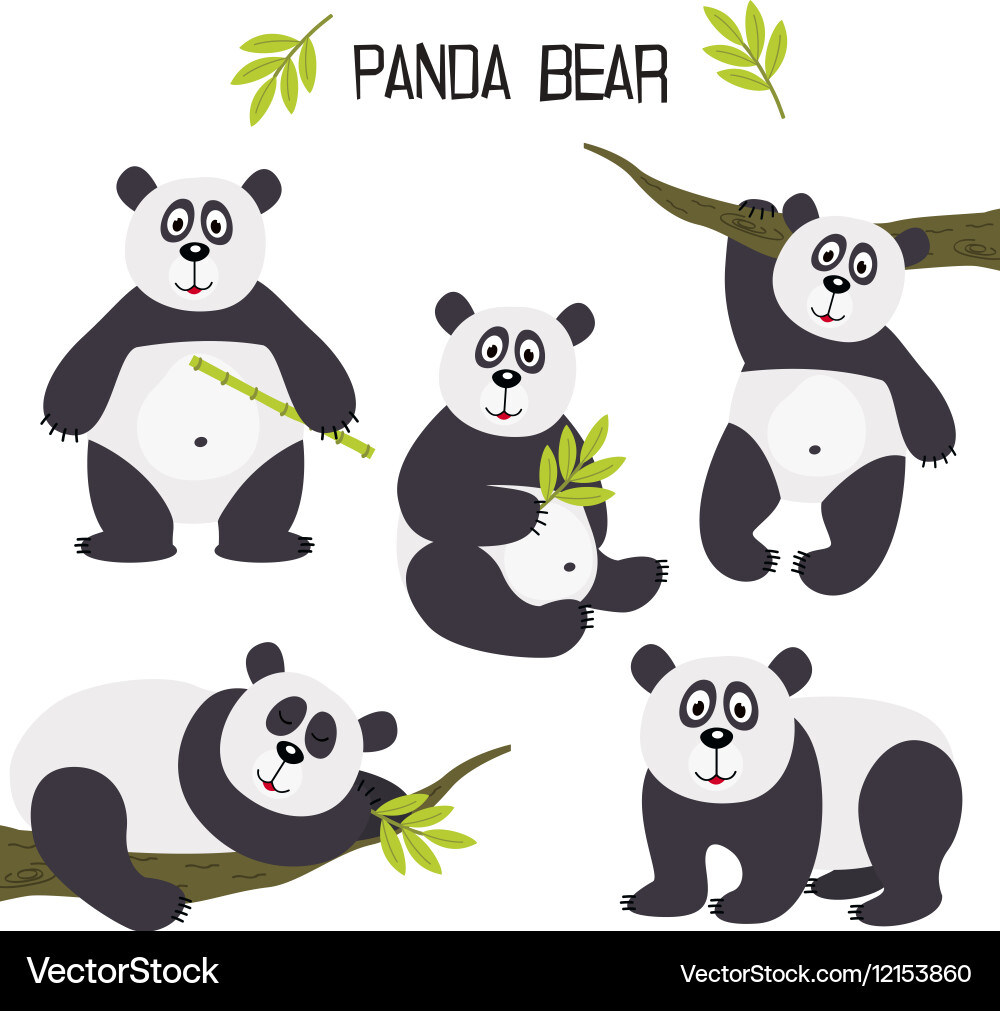 Set of isolated panda bear Royalty Free Vector Image