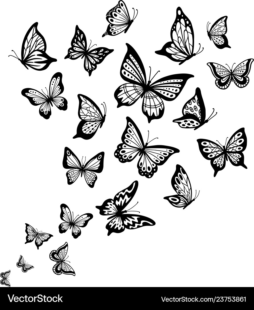 Butterfly Flight Wave Royalty Free Vector Image