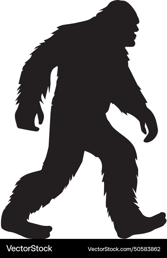 Big foot Royalty Free Vector Image - VectorStock