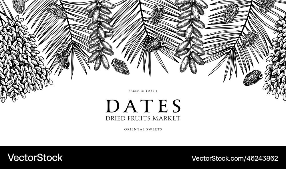Date Palm Border - Exotic Fruits Royalty Free Vector Image
