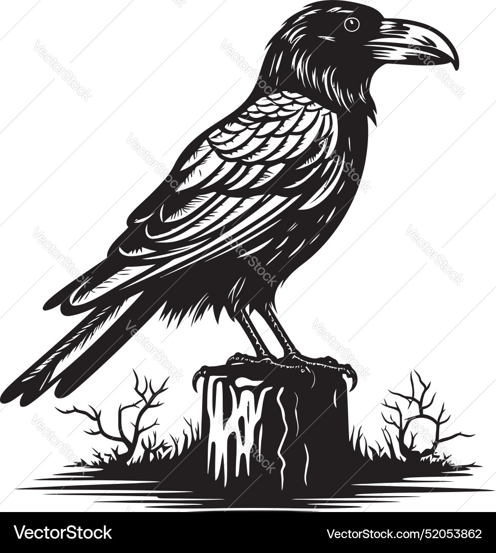 Sinister raven artwork skull emblem brooding Vector Image