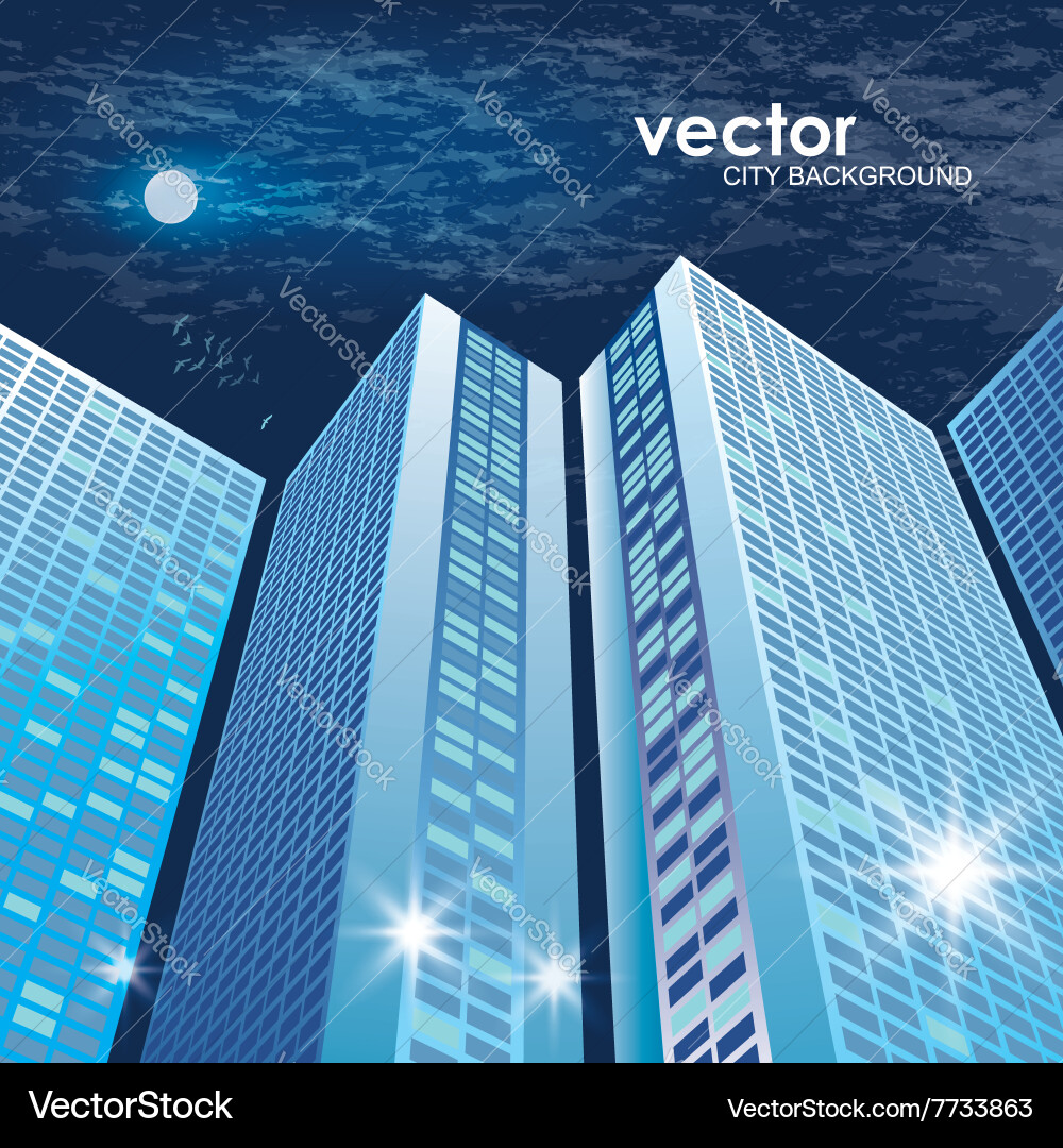 City architecture at night Royalty Free Vector Image
