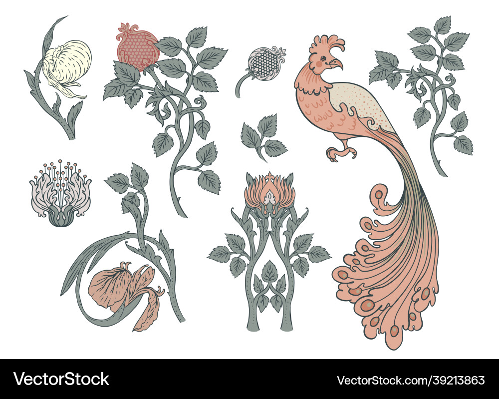 Nature vintage elements enchanted flowers Vector Image