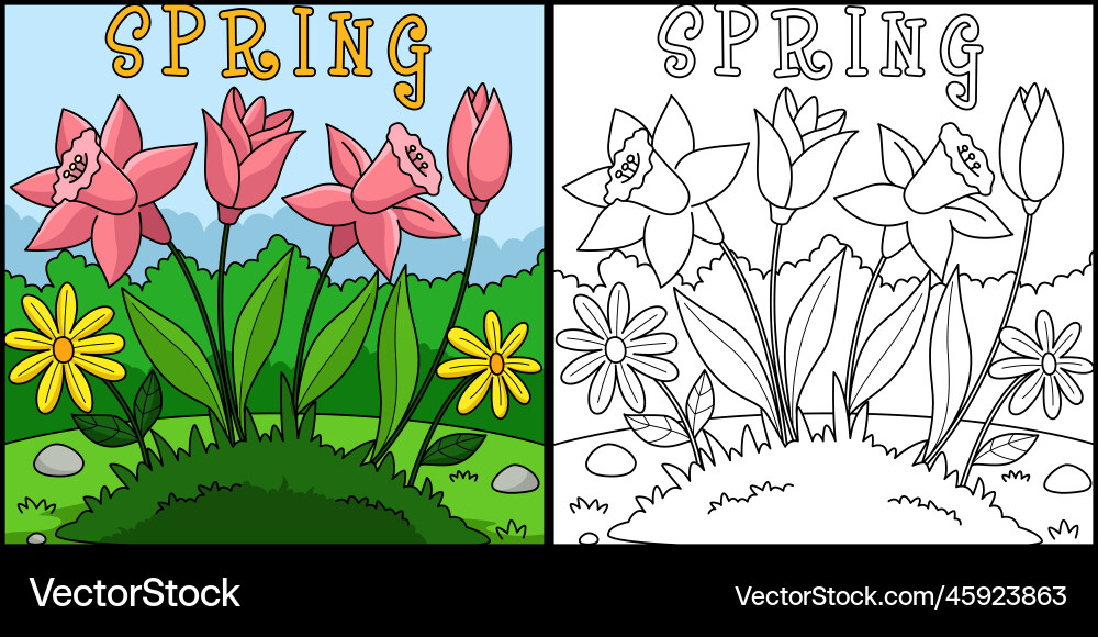 Spring tulip flowers coloring page Royalty Free Vector Image