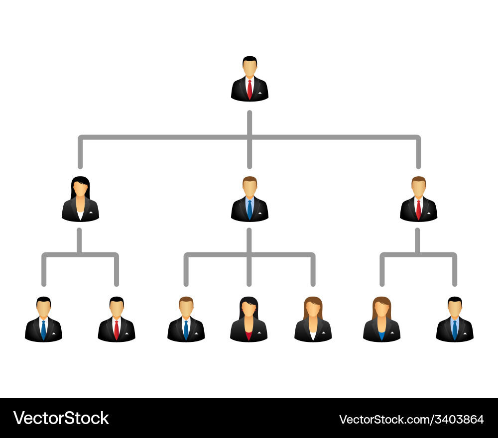 Business hierarchy structure Royalty Free Vector Image