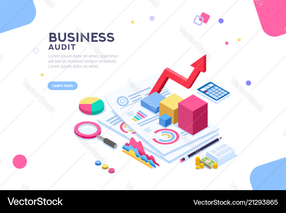 Financial audit for business Royalty Free Vector Image