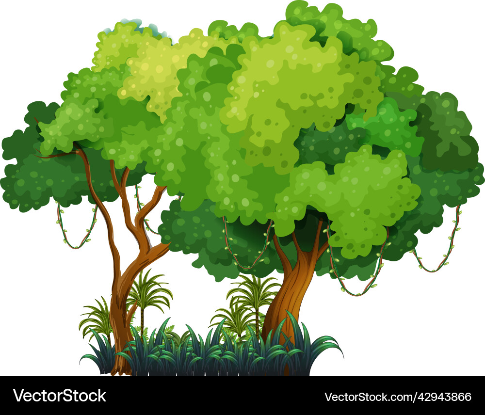 Großer Baum isoliert Cartoon Lizenzfreies Vektorbild