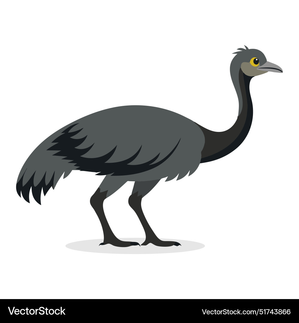 Emu animal flat on white background Royalty Free Vector