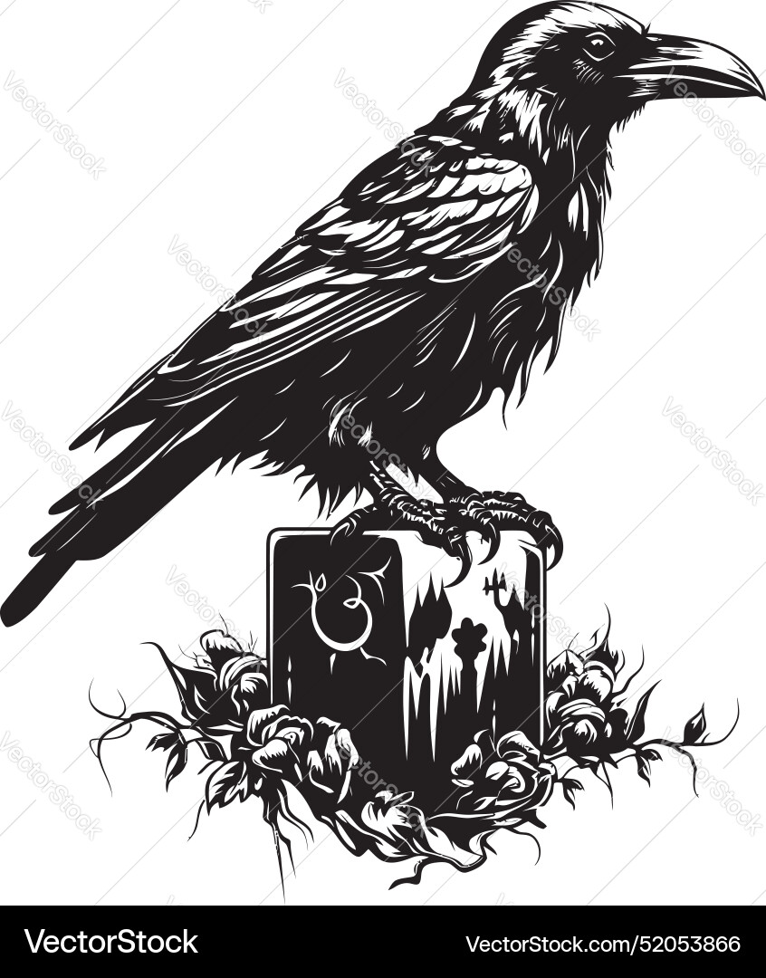 Mysterious raven symbolism perched skull design Vector Image