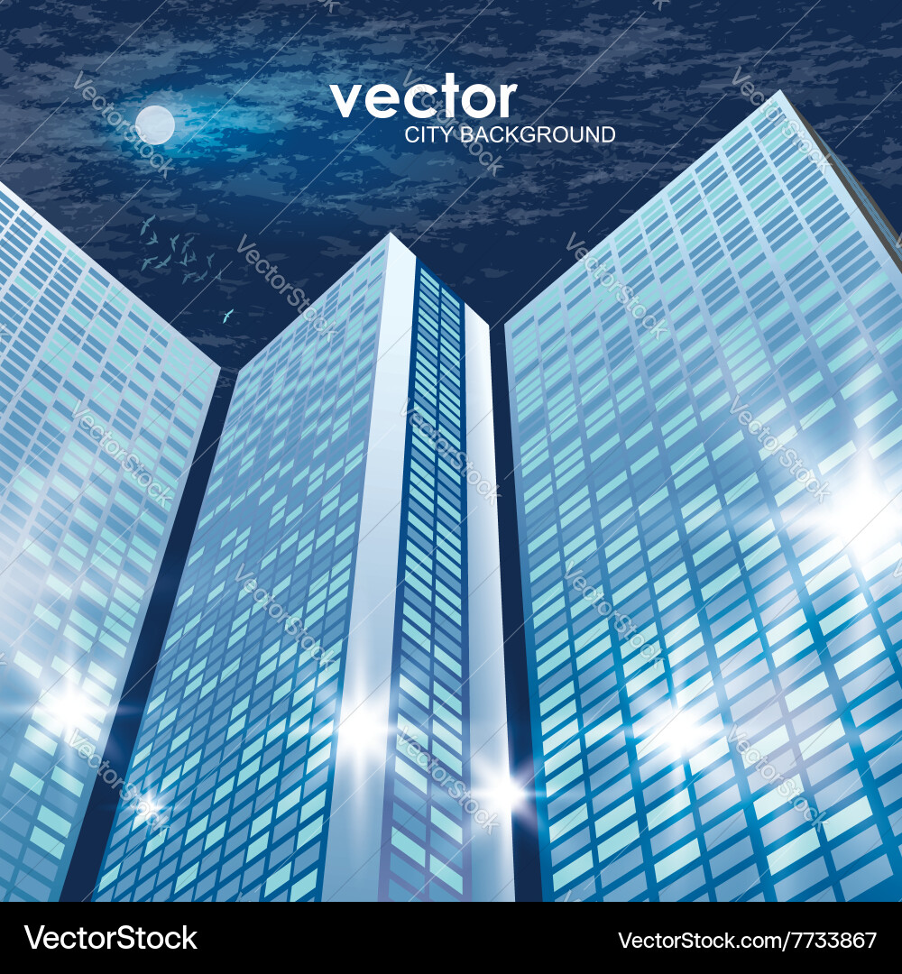 City architecture at night Royalty Free Vector Image