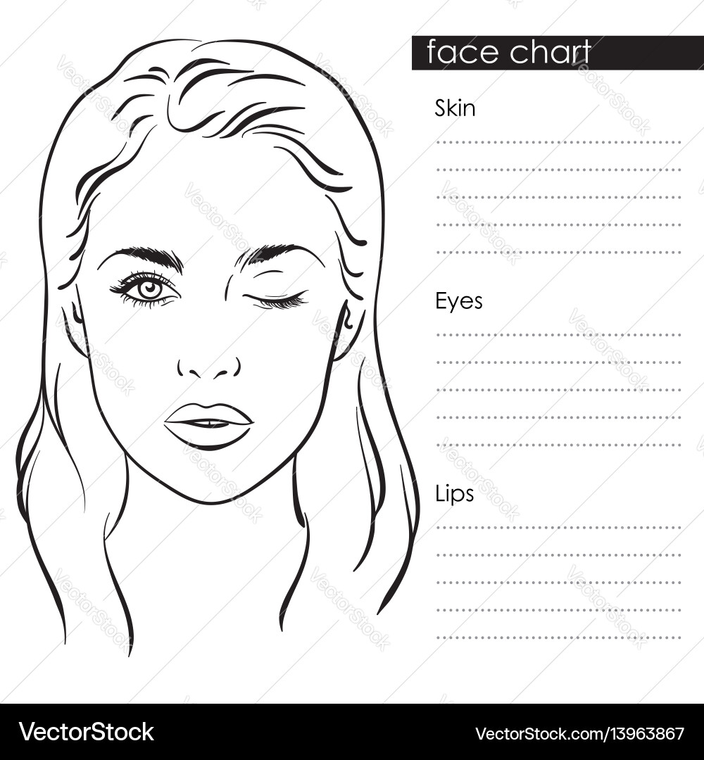 Woman Face Chart Template Royalty Free Vector Image