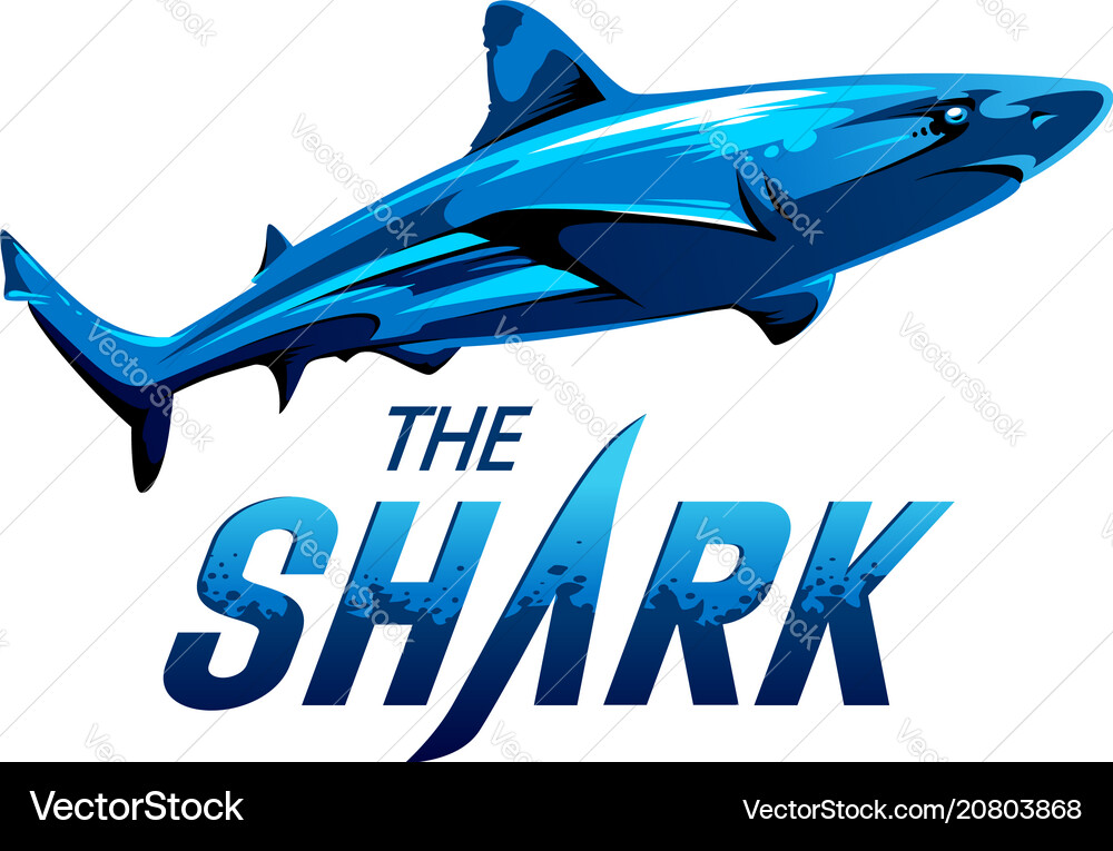 Shark Royalty Free Vector Image - VectorStock