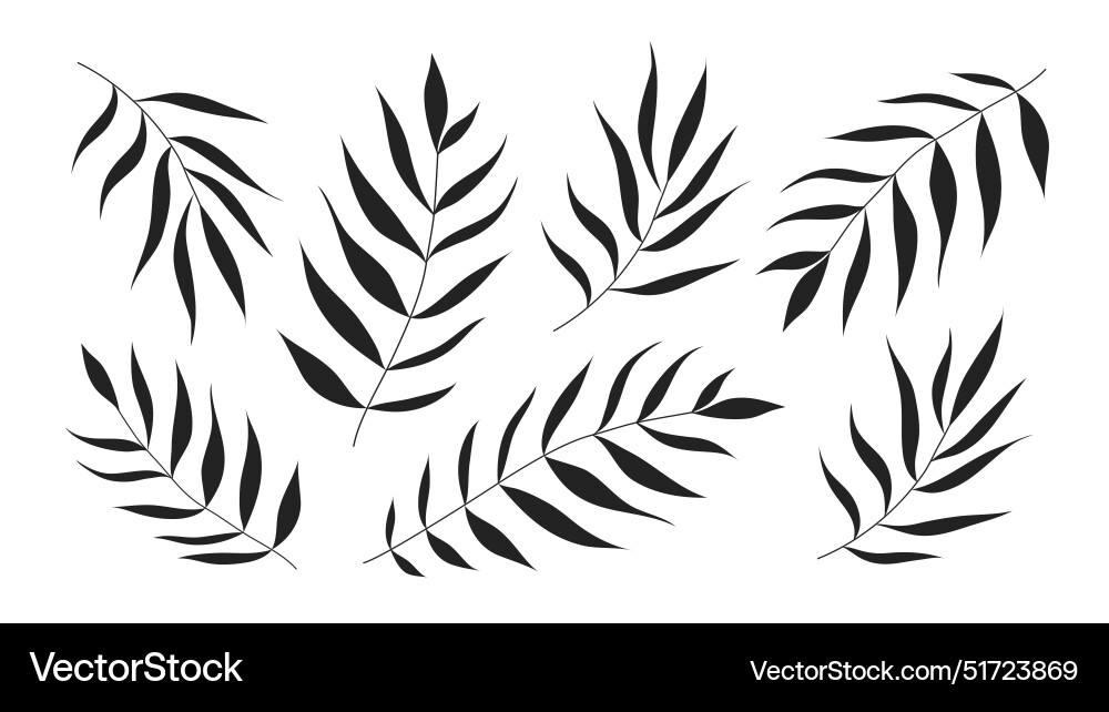 Black and white botanical leaves Royalty Free Vector Image
