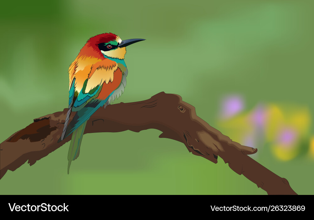 Colorful bird Royalty Free Vector Image - VectorStock
