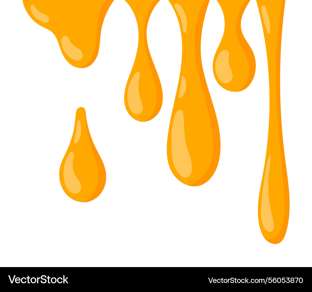 Honey dripping sticky sweet dripping spots Vector Image