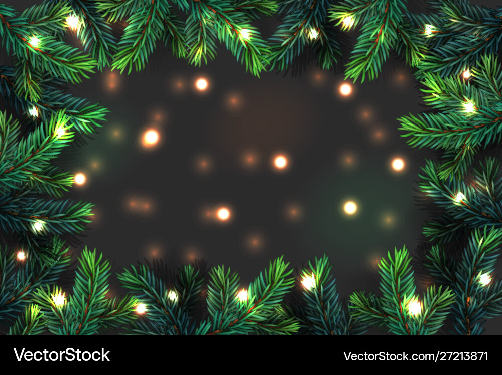 Christmas tree branches background festive xmas Vector Image
