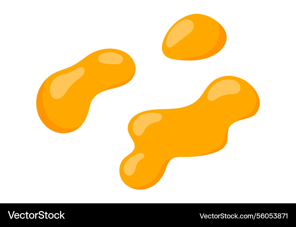 Honey dripping sticky sweet dripping spots Vector Image